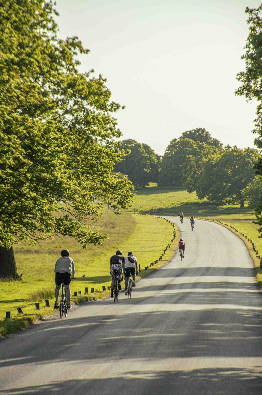 Arkansas Global Cycling Accelerator: Innovation in Cycling